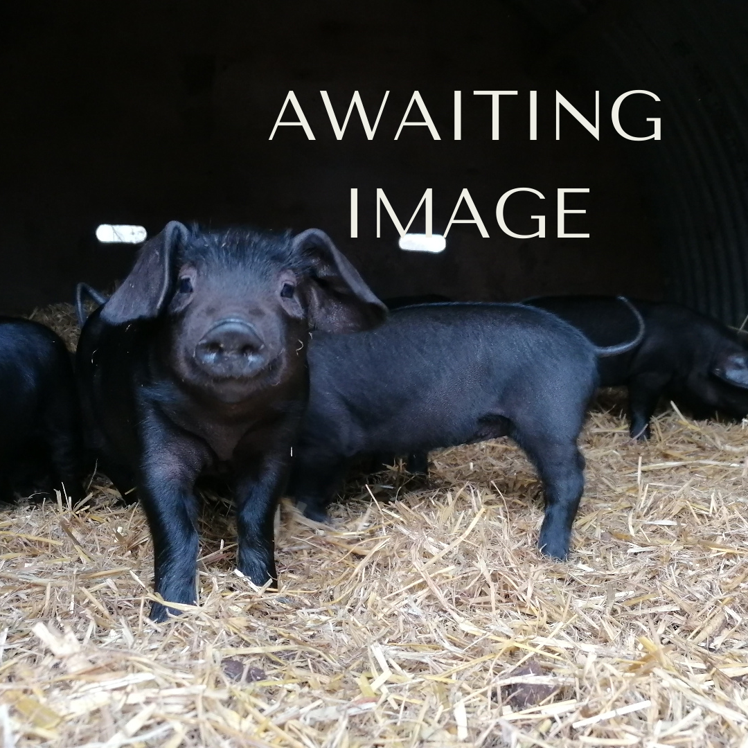 Whole Pig Box – Oink and Udder